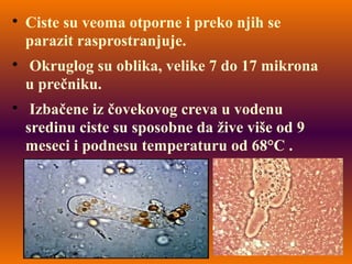 Parazitske praživotinje | PPT