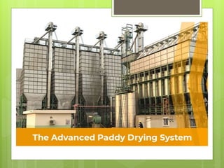 Parboiling of paddy or rice final.pptx