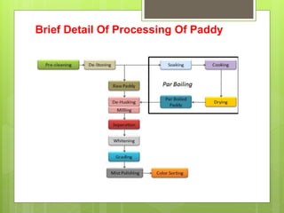 Parboiling of paddy or rice final.pptx