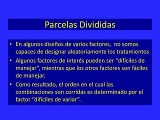Parcelas Divididas.pptx diseños experimentales | PPTX