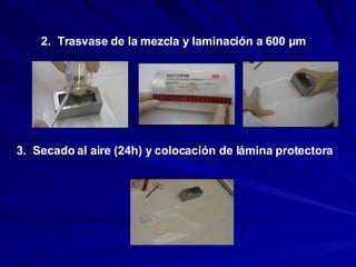 Parche Transdermico | PPT