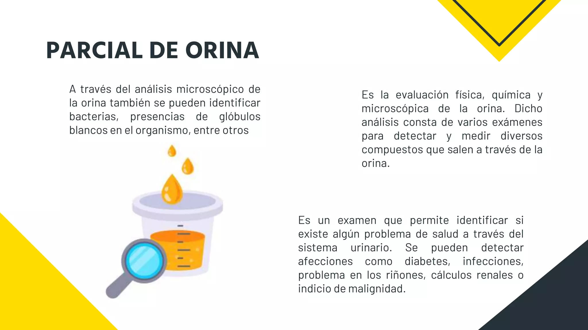 PARCIAL DE ORINA (2).pptx
