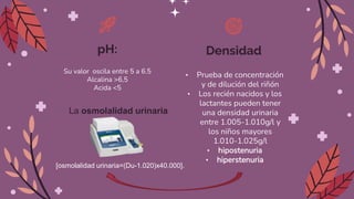interpretación Parcial de orina pediatría 2023 | PPTX