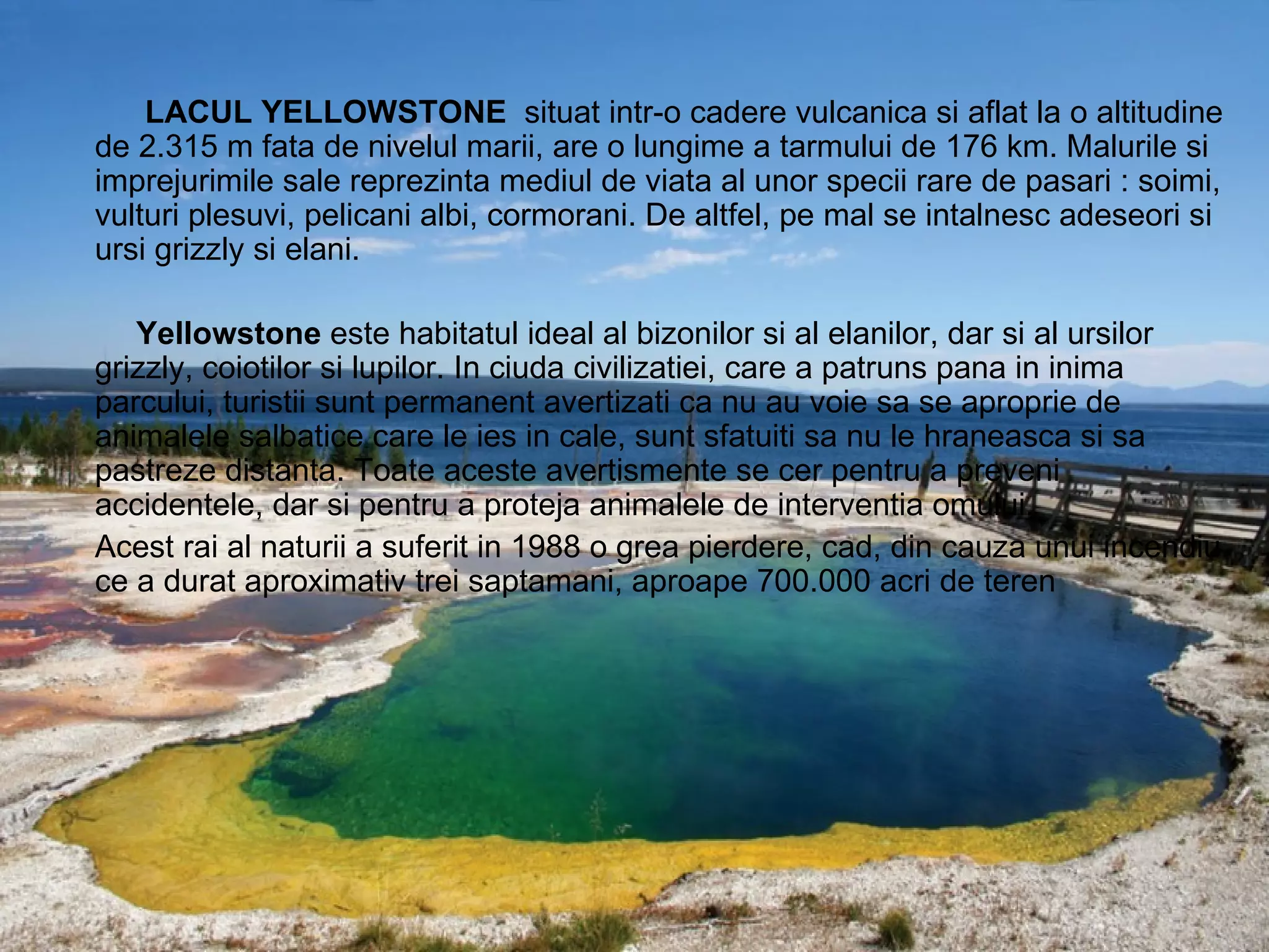 Parcul Yellowstone | PPT
