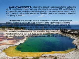 Parcul Yellowstone | PPT