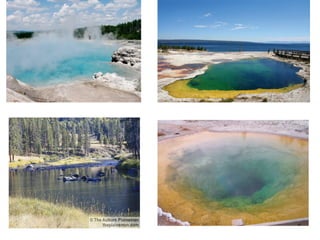 Parcul Yellowstone | PPT