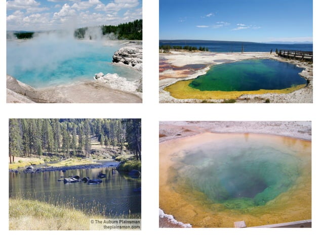 Parcul Yellowstone | PPT