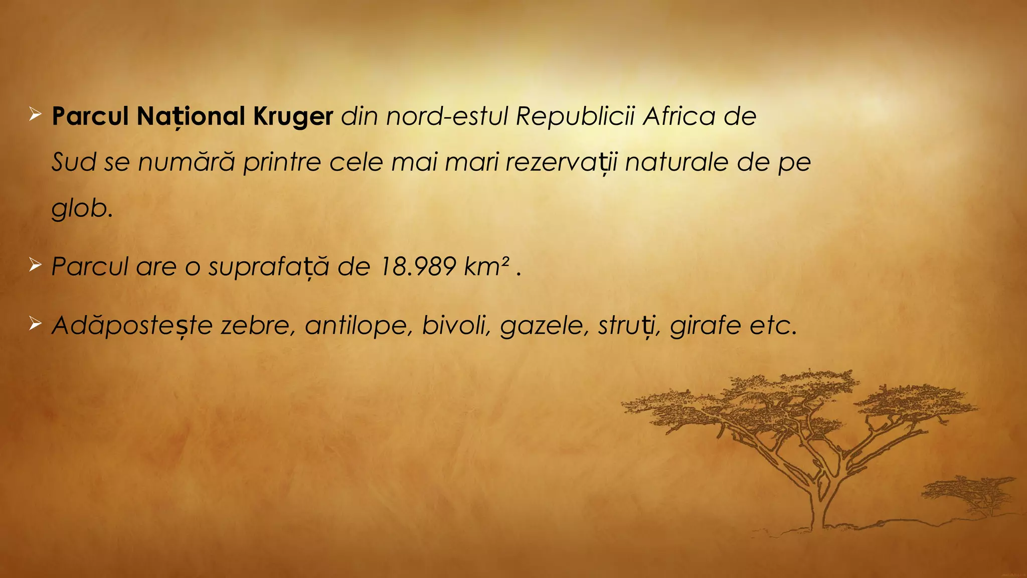 Parcul National Kruger | PPT