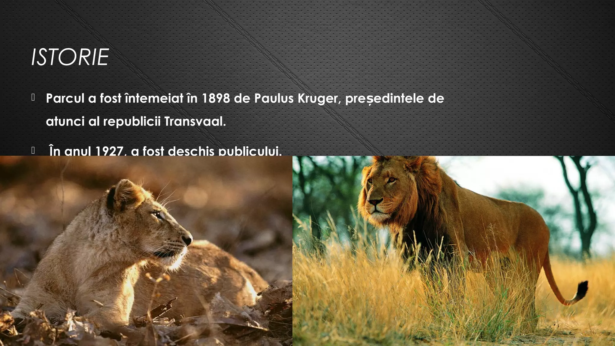 Parcul National Kruger | PPT