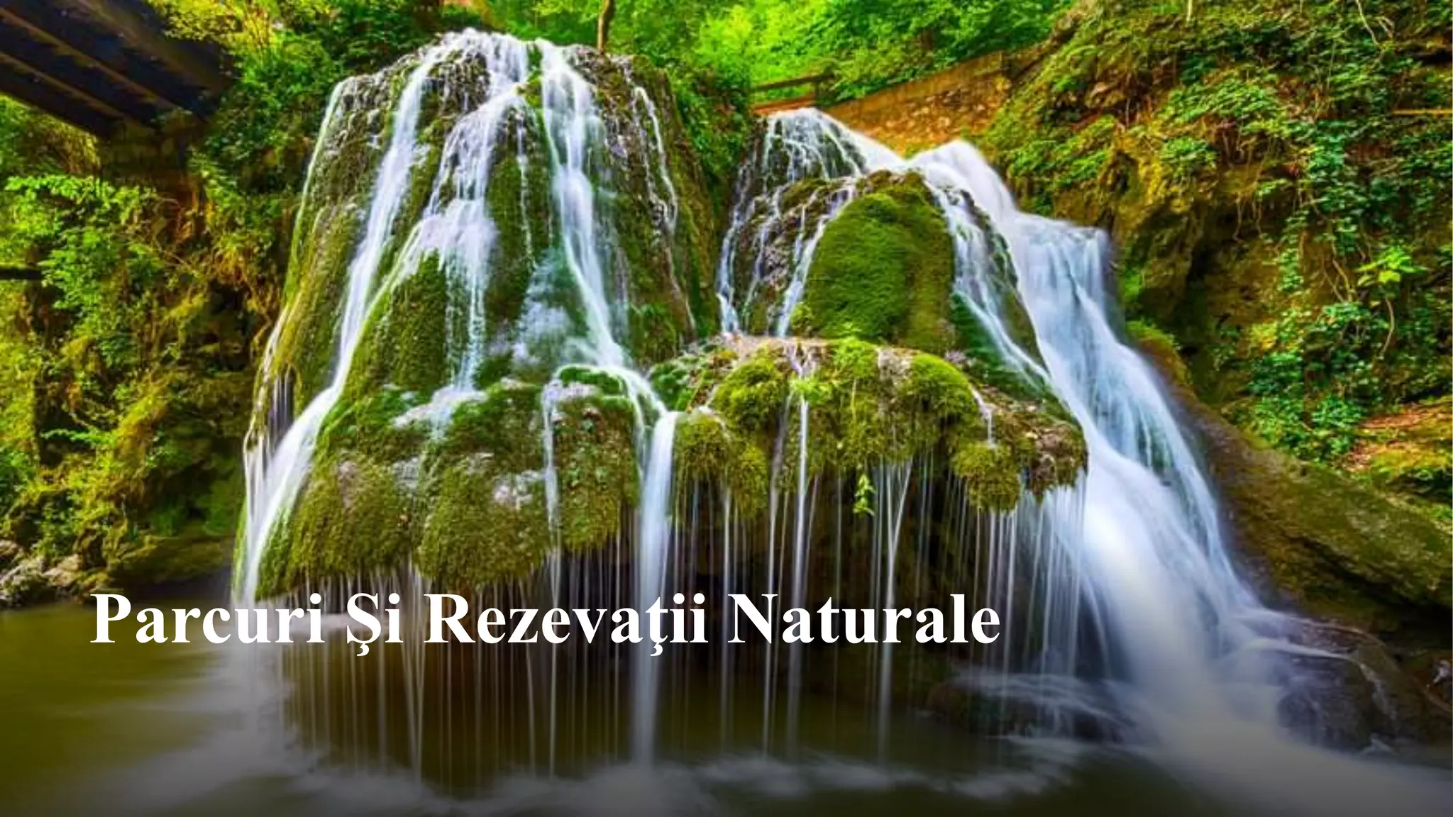 parcuri_si_rezervatii_naturale.pptx