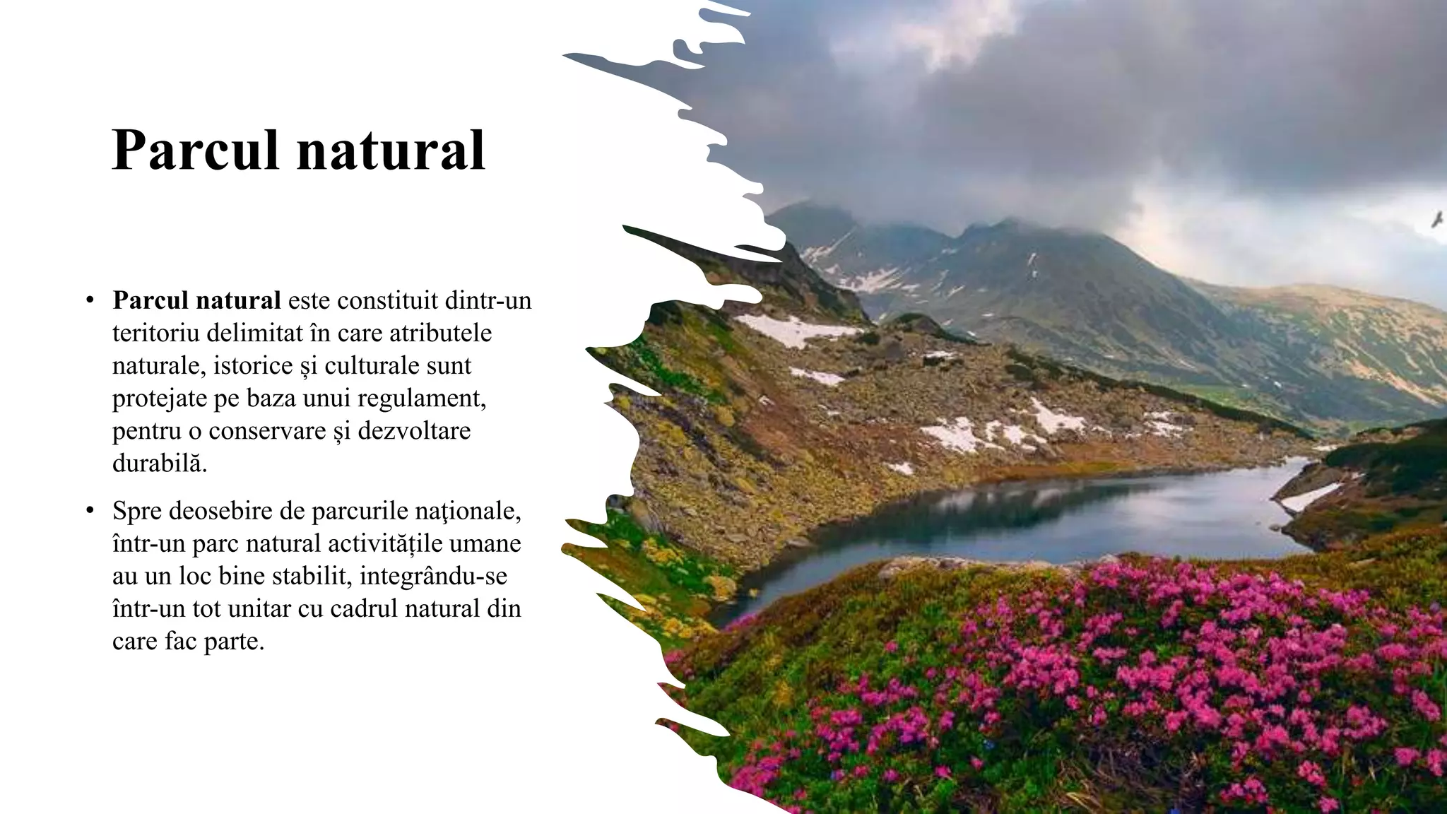 parcuri_si_rezervatii_naturale.pptx