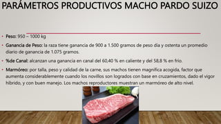 Pardo Suizo.pptx