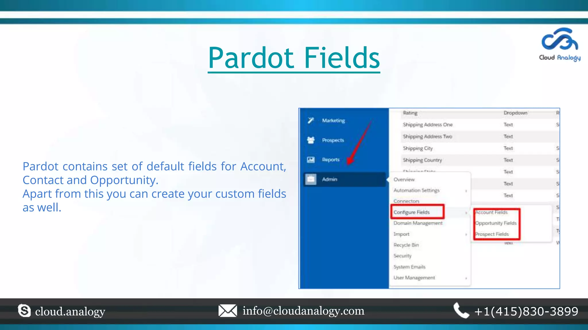 Salesforce Pardot basics | PPTX