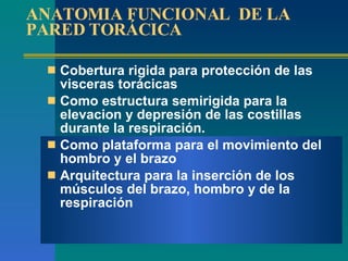 Pared Toracica Procedimientos | PPT