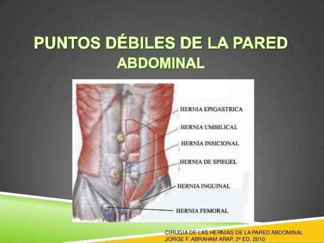 Anatomia y hernias de pared abdominal