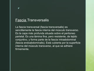 PARED ABDOMINAL. MUSCULOS FASCIA Y APONEUROSIS | PPTX