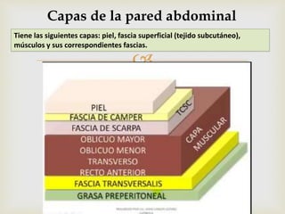 Anatomía De La Pared Abdominal Pptx
