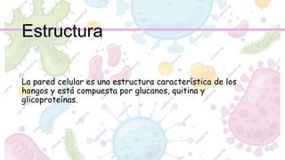 Pared celular fungal.pptx