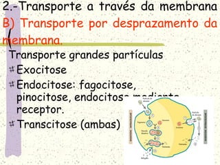 Paredes celulares e membrana | PPT