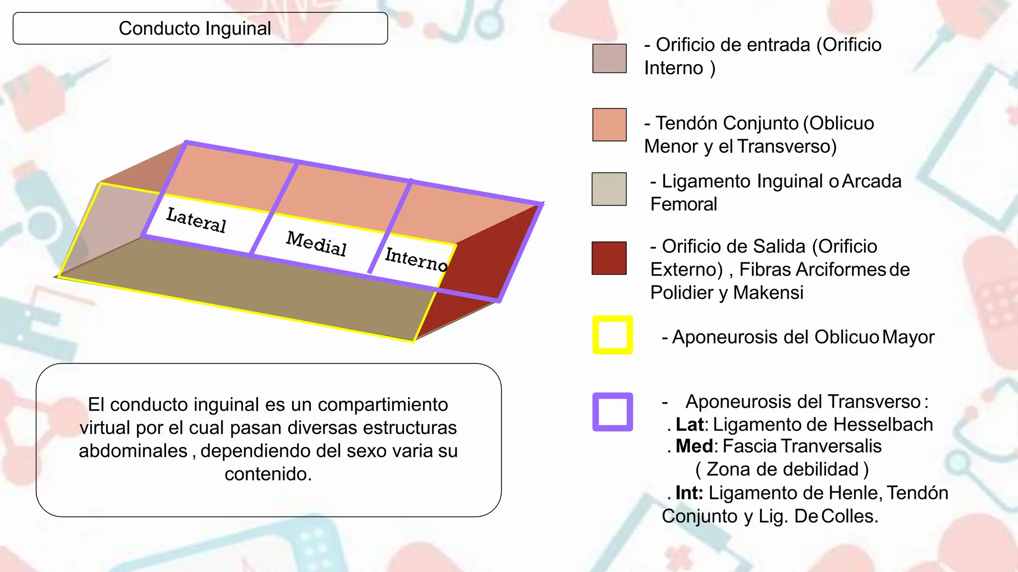 Paredes del abdomen y conducto inguinal.pptx
