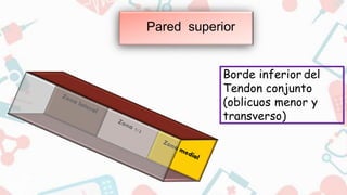Paredes del abdomen y conducto inguinal.pptx