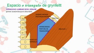 Paredes del abdomen y conducto inguinal.pptx