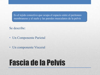 Cavidad Pélvica - Paredes y suelo de la cavidad pélvica. | PPTX