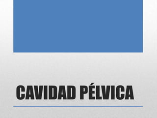 Cavidad Pélvica - Paredes y suelo de la cavidad pélvica. | PPTX