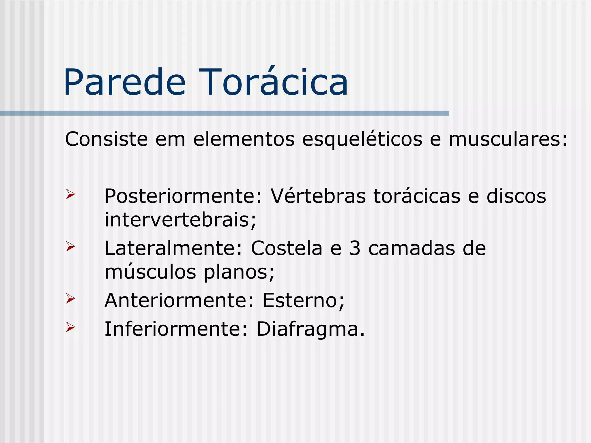 Parede toracica, musculos da respiracao e pulmao | PPT