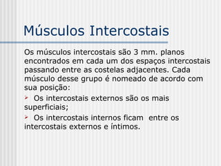 Parede toracica, musculos da respiracao e pulmao | PPT