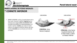 anatomia de la pared lateral nasal...... | PPTX