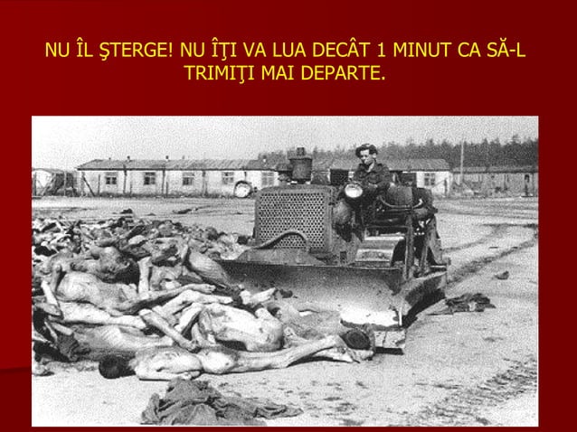Lectie de istorie - Holocaust | PPT