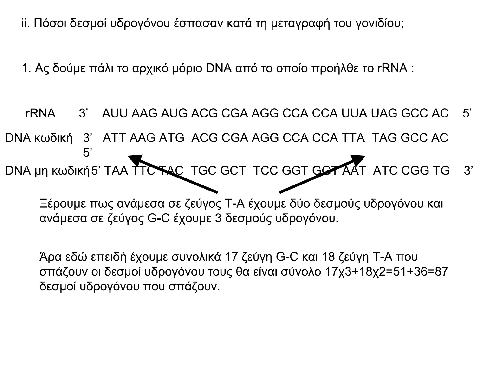 Paremvasi perioristikes endonoukleases | ZIP