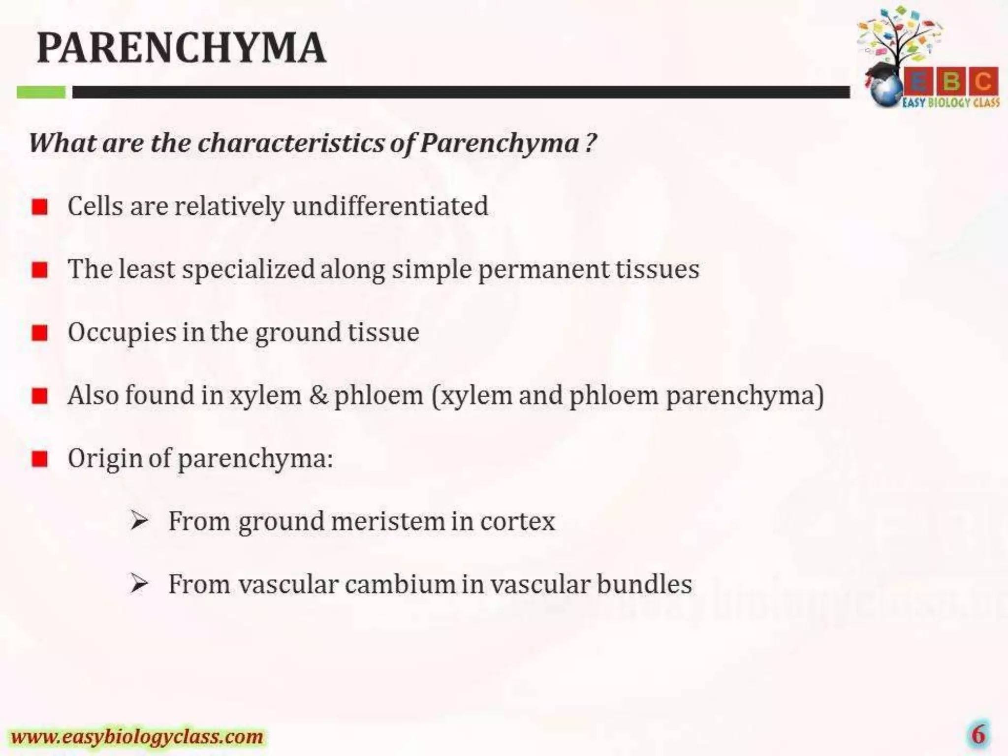Parenchyma structure-and-classification-ppt | PPTX