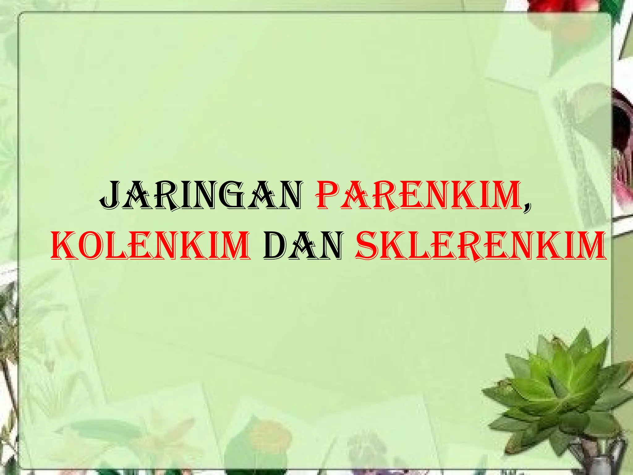Parenkim, sklerenkim dan kolenkim.pptx