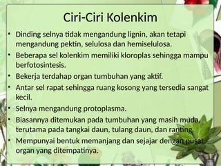 Parenkim, sklerenkim dan kolenkim.pptx