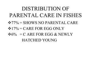 parental-care-fishes.ppthhbb | PPT