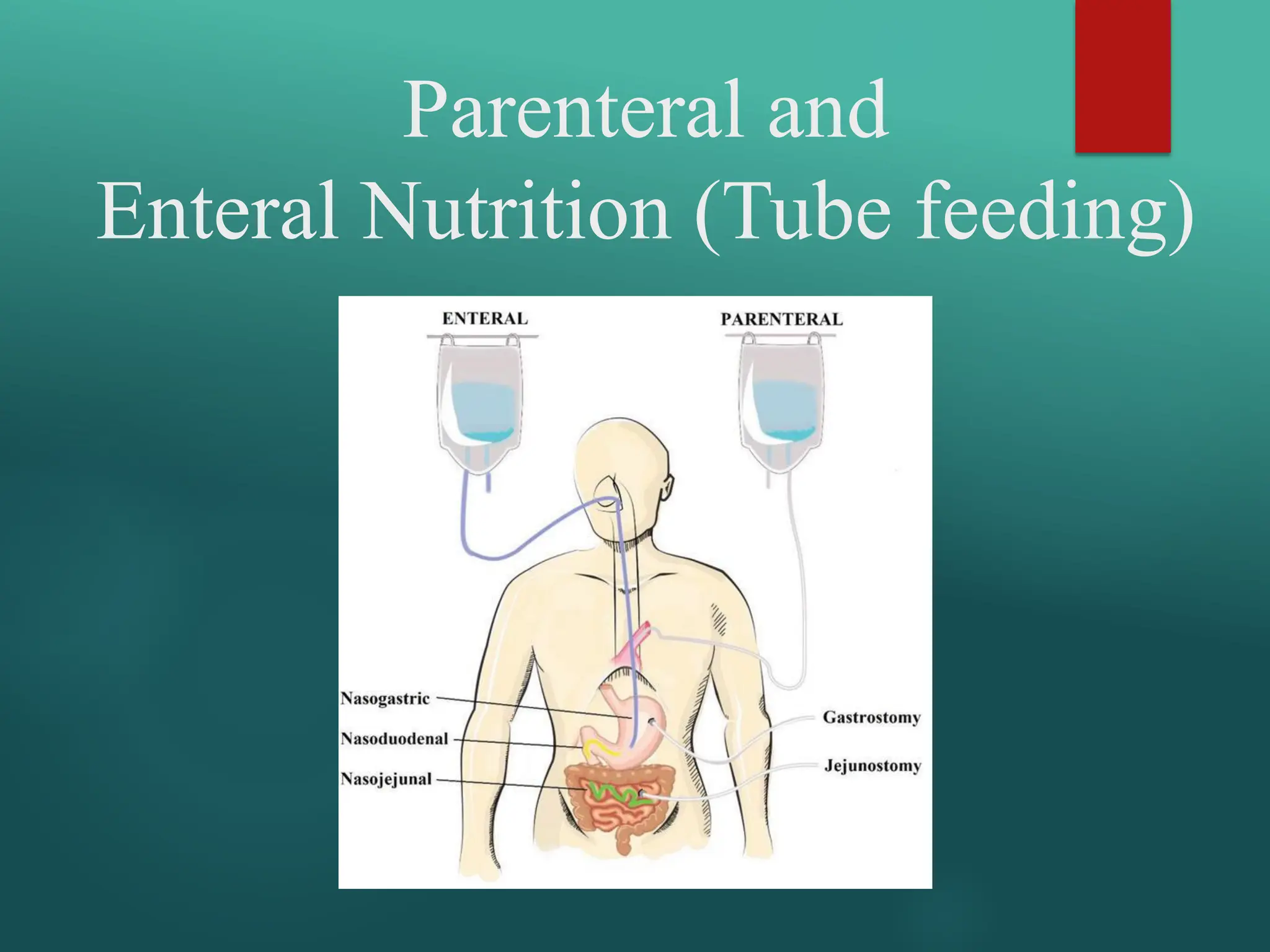 Parental and enteral nutrition Final.pdf