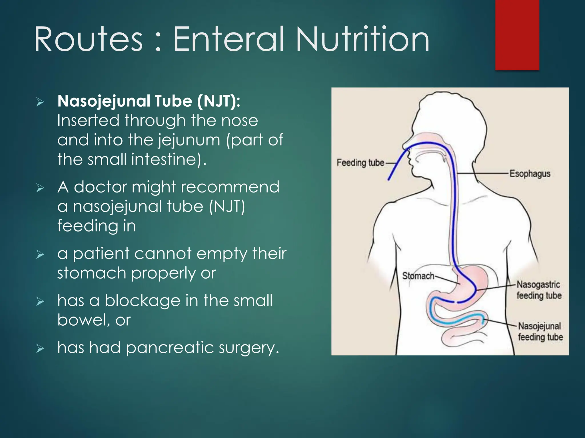 Parental and enteral nutrition Final.pdf