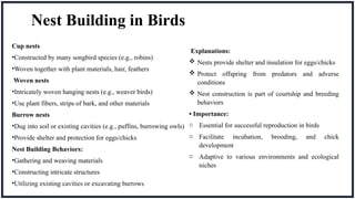 Parental Care and Nest Building in Animals: A Comprehensive Study of ...