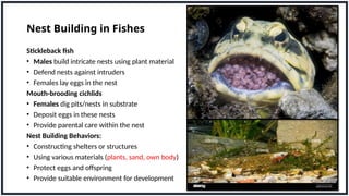 Parental Care and Nest Building in Animals: A Comprehensive Study of ...
