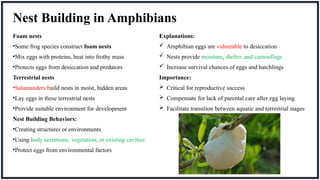 Parental Care and Nest Building in Animals: A Comprehensive Study of ...