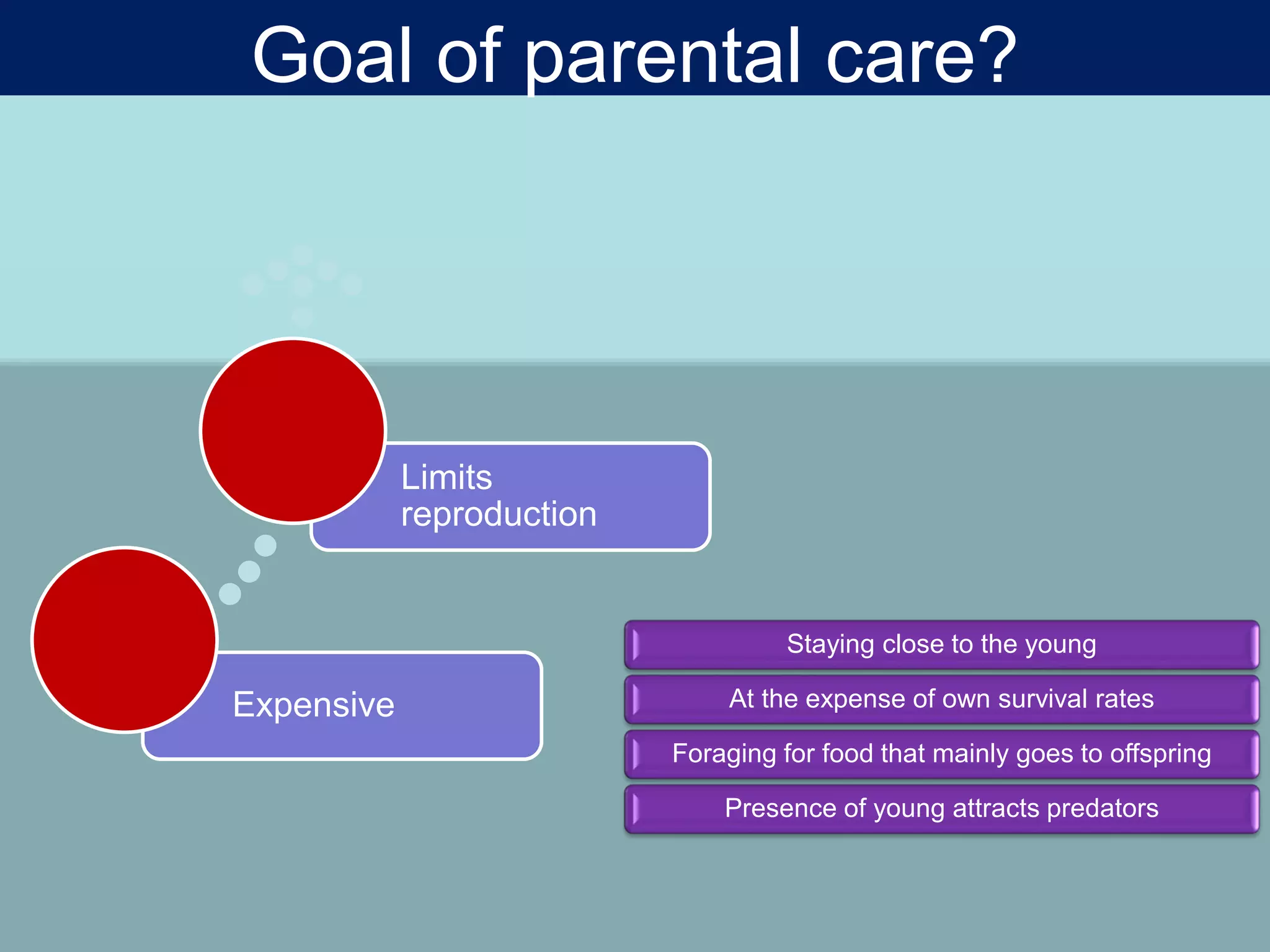 Parental care, and parent-offspring conflict | PDF