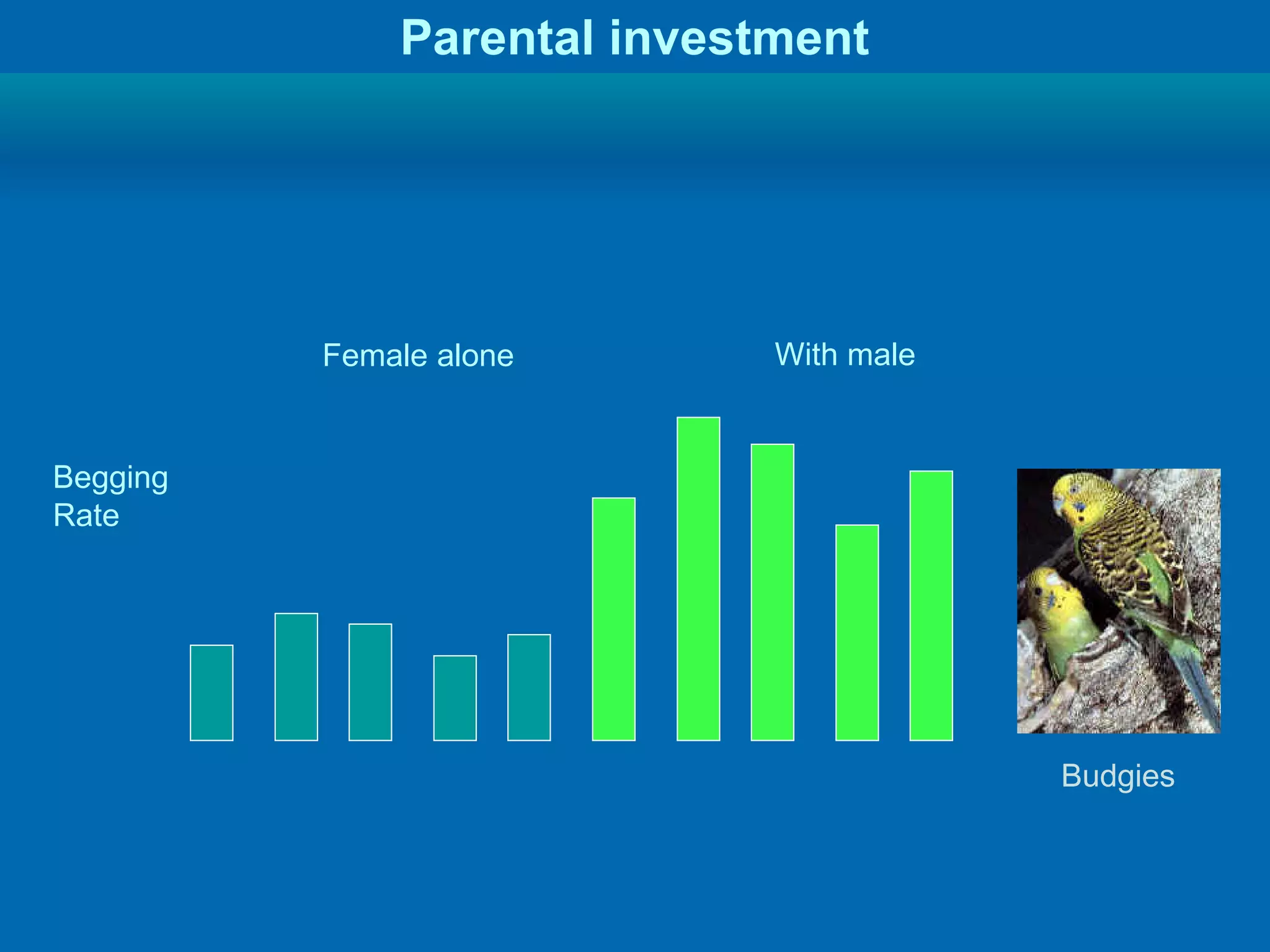 Parental care, and parent-offspring conflict | PDF