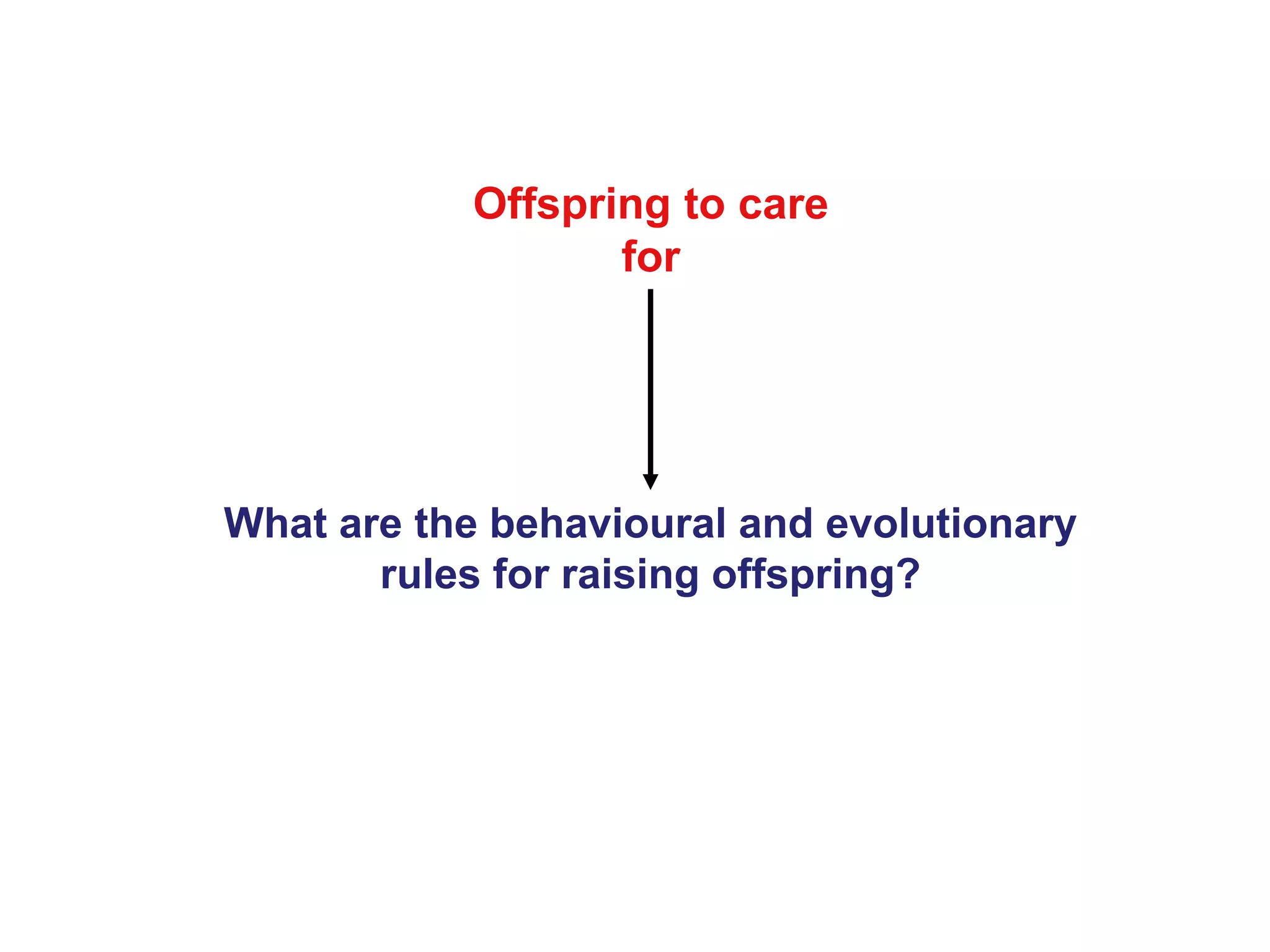 Parental care, and parent-offspring conflict | PDF