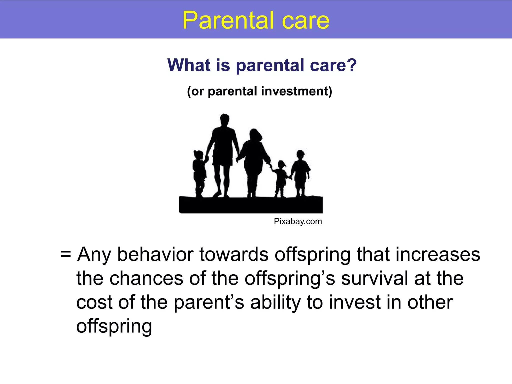 Parental care, and parent-offspring conflict | PDF