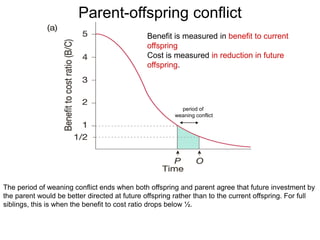 Parental care, and parent-offspring conflict | PDF