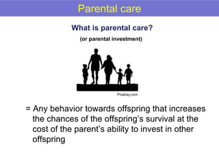 Parental care, and parent-offspring conflict | PDF