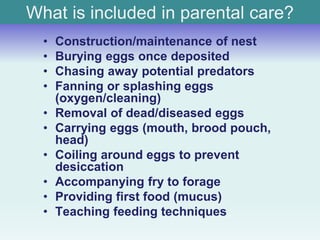 Parental care, and parent-offspring conflict | PDF