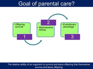 Parental care, and parent-offspring conflict | PDF